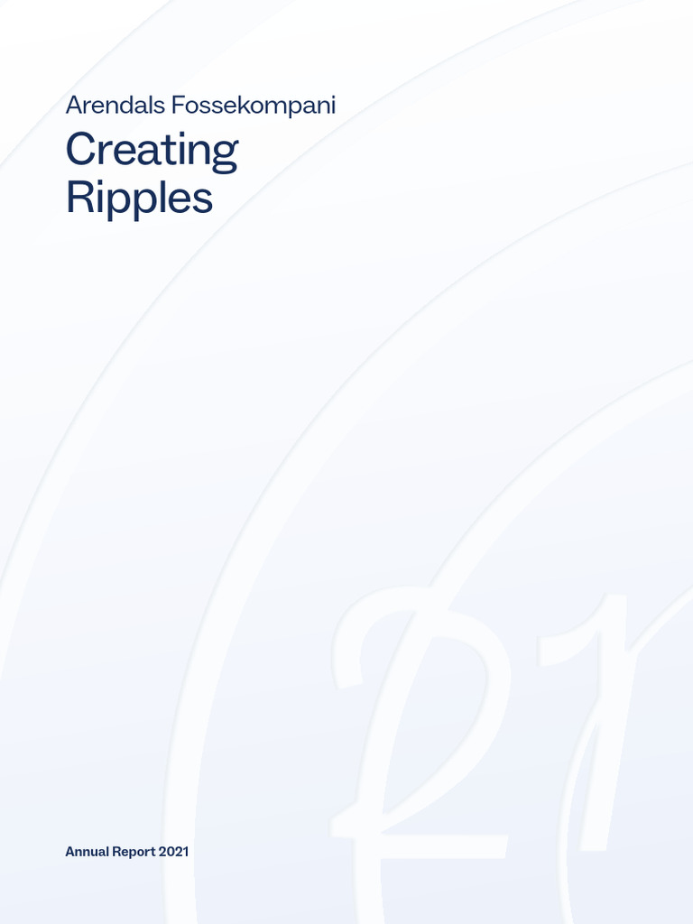 2021 2020 Afk Annual Report Pdf Renewable Energy Economies