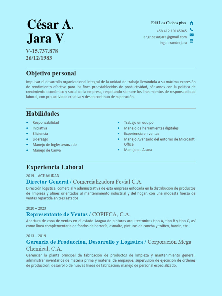 CV Alex | PDF | Logística | Business