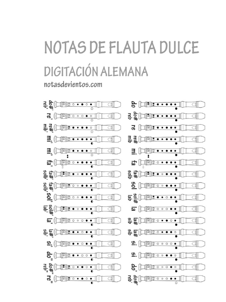 Flauta | PDF