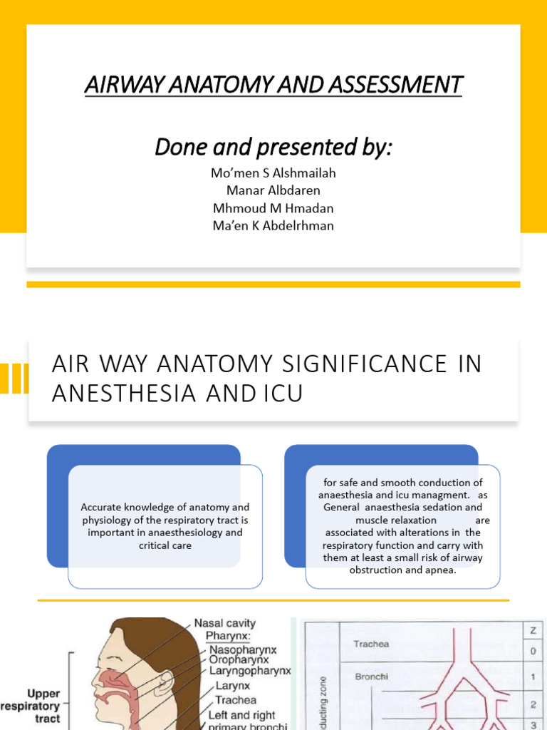 Airway Anatomy &assessment | PDF | Respiratory Tract | Larynx