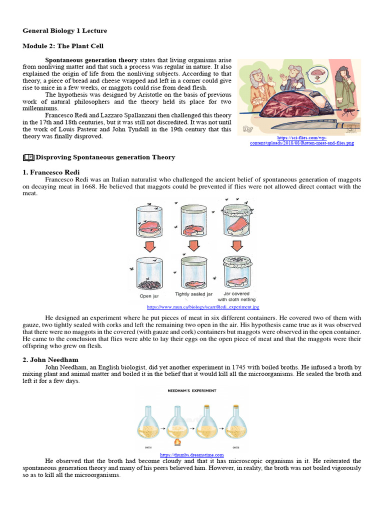 Genbio1 Lecure Notes Plant Cell Pdf Cell Biology Organelle