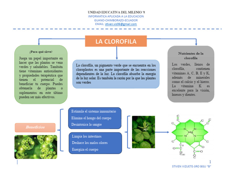 Beneficios de la Clorofila | PDF | Salud y bienestar