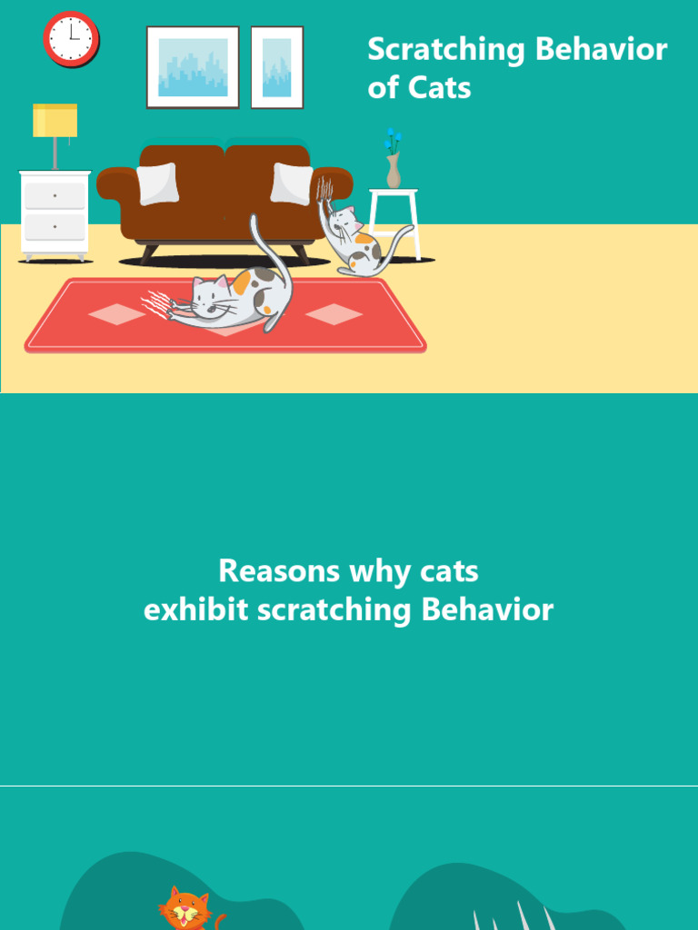 2 Scratching of Cats | PDF | Cats | Psychology