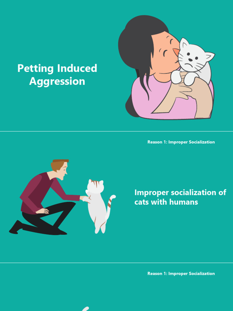 4 Petting Induced Aggression | PDF | Self-Improvement | Wellness