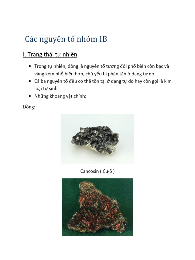 TR NG Thái T Nhiên | PDF