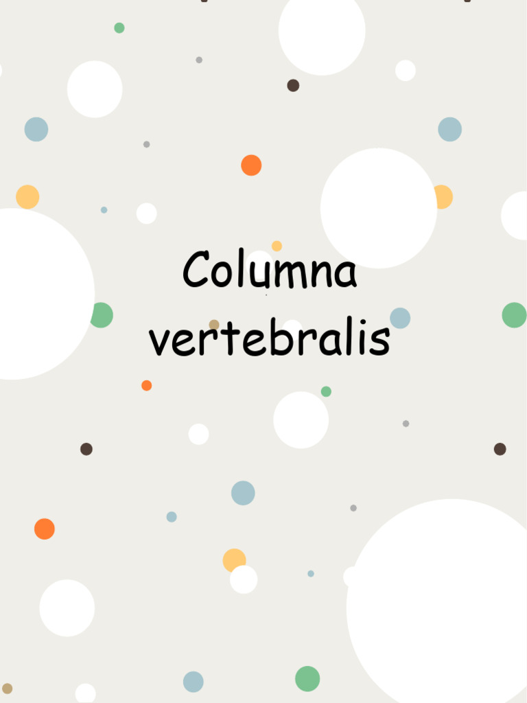 Columna Vertebralis | PDF