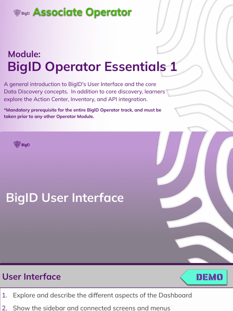 BigID Operator Essentials Overview | PDF | Metadata | Data
