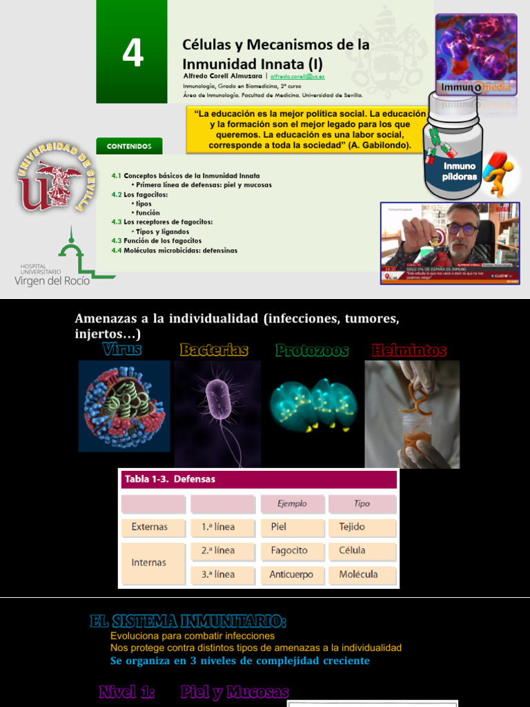 4 Fagocitos | PDF | Sistema inmune | Sistema inmune innato