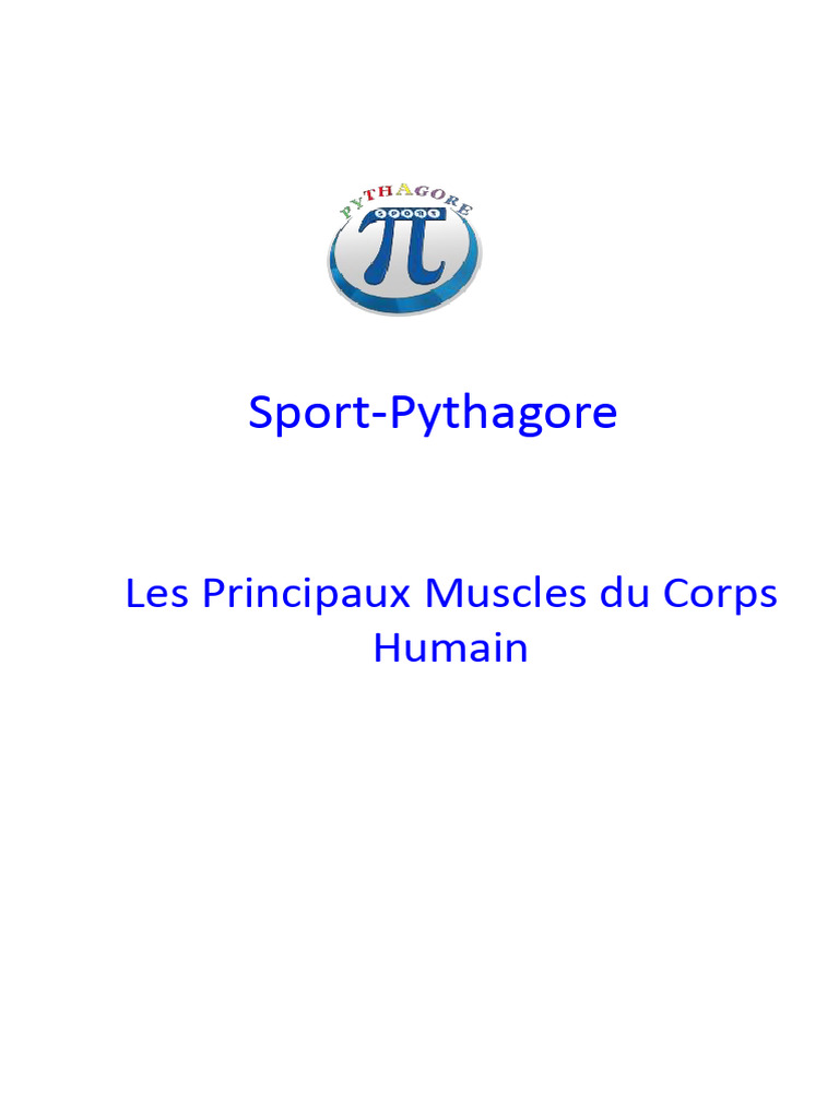 Les Principaux Muscles Du Corps Humain | PDF