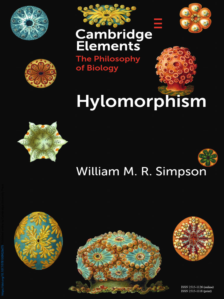 Hylomorphism | PDF | Metaphysics | Substance Theory