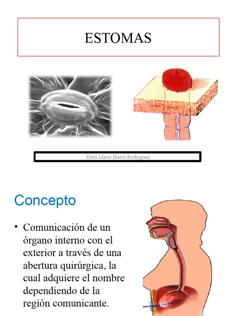 Colostomã As | PDF | Heces | Medicina