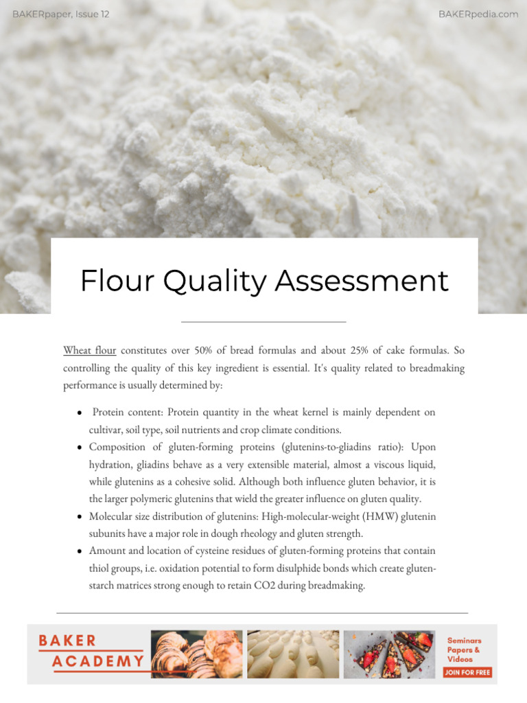 Flour Quality Assessment for Baking | PDF | Flour | Breads