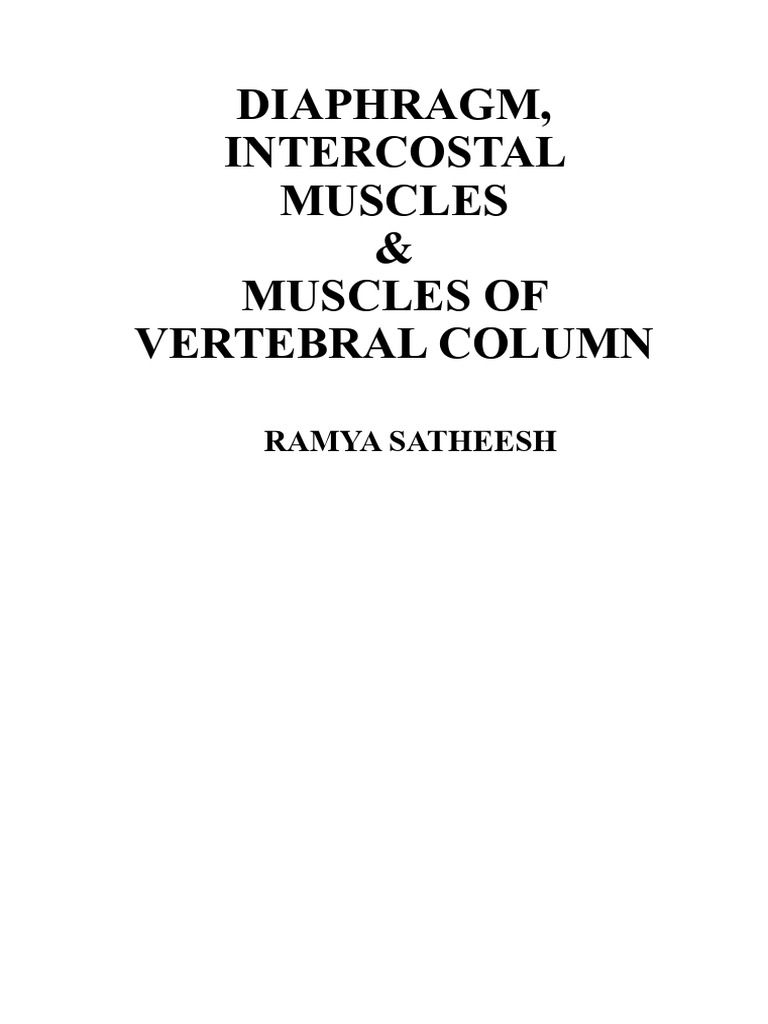 Diaphragm and Intercostal Muscles Overview | PDF | Vertebral Column ...