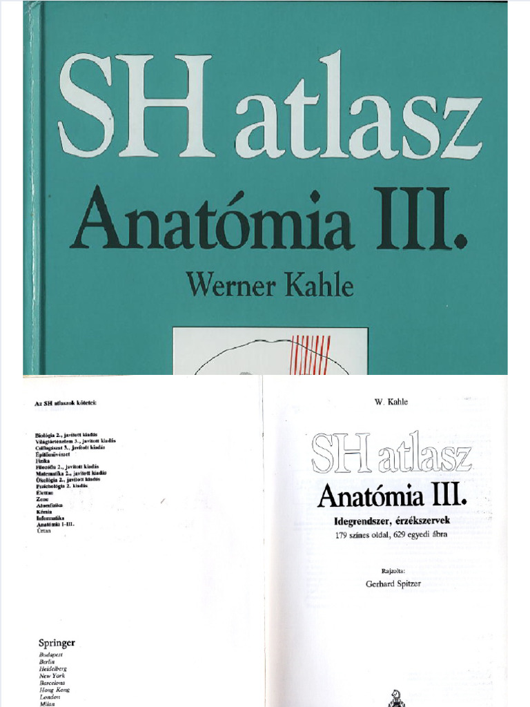 SH Atlasz Anatomia II | PDF