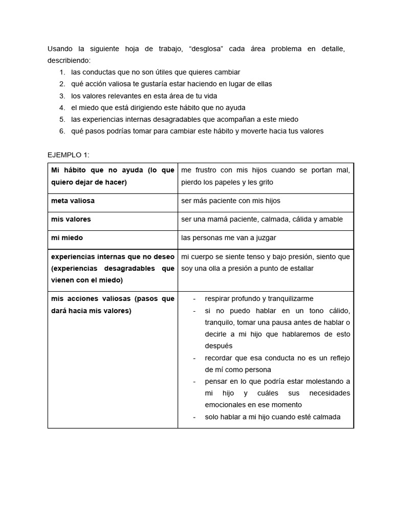 Cuadro de Metas y Acciones | PDF