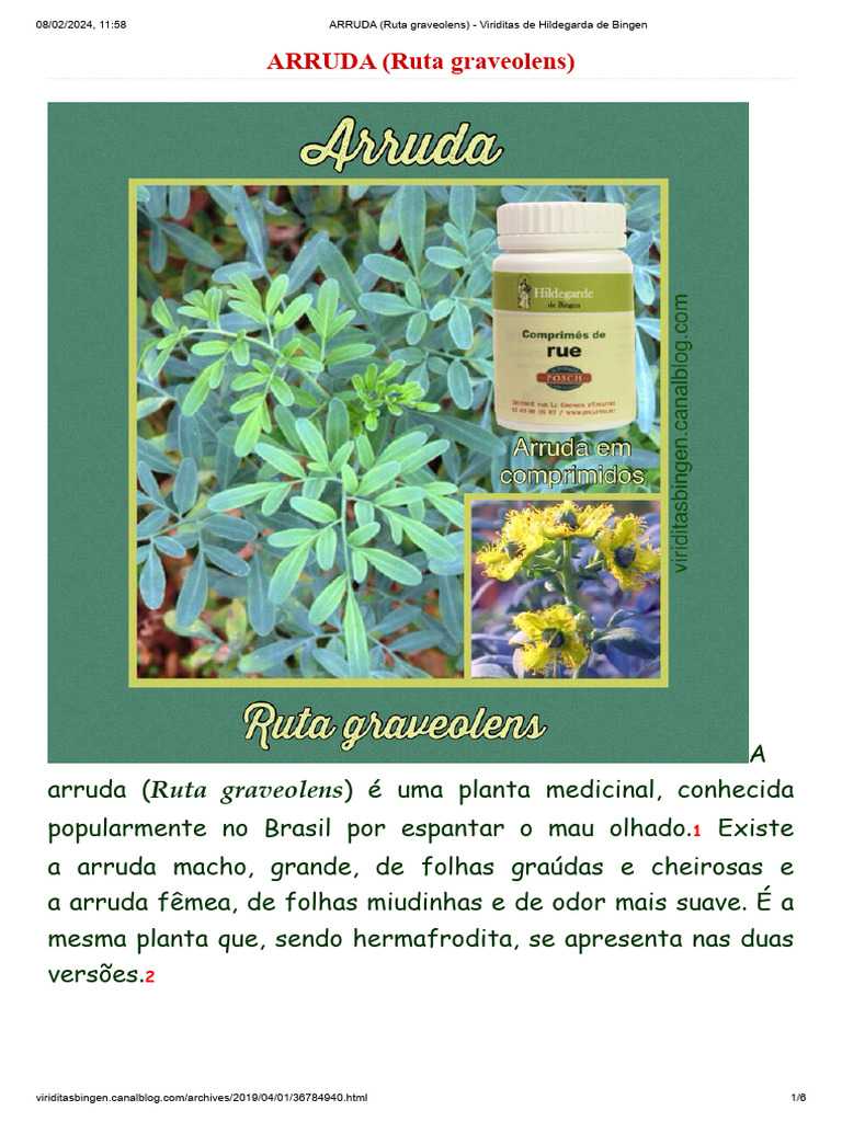 ARRUDA (Ruta Graveolens) - Viriditas de Hildegarda de Bingen | PDF