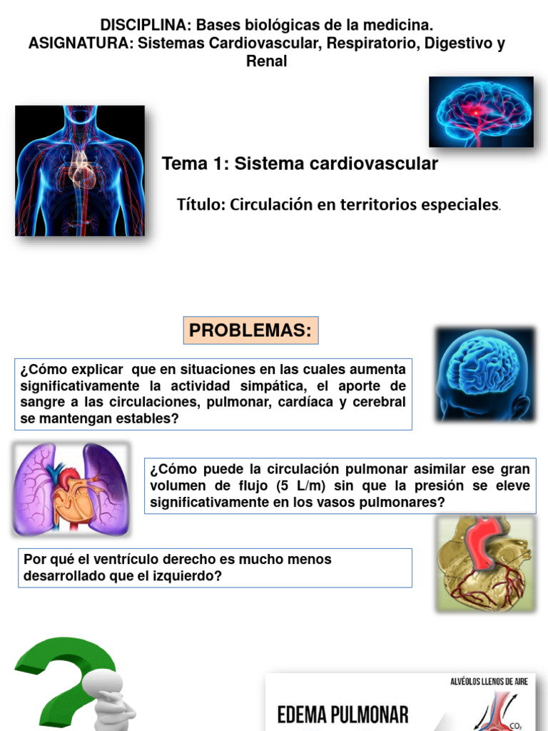 Conferencia 10 Regulación De La Circulación Coronaria Pulmonar Y