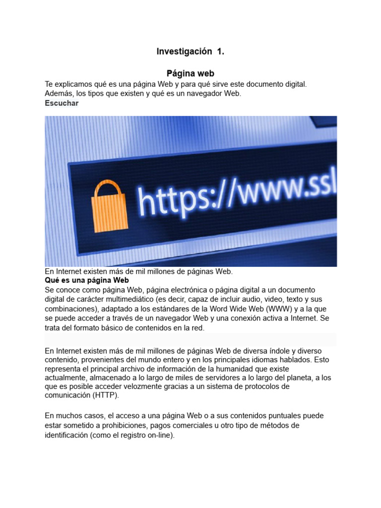 Tipos y Funciones de Páginas Web | PDF