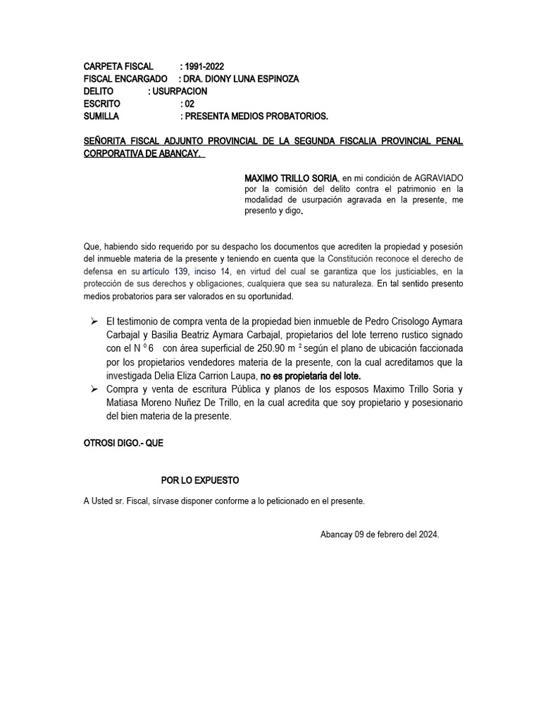 Escrito CAMILO TRILLO | PDF | Fiscal | Ley común