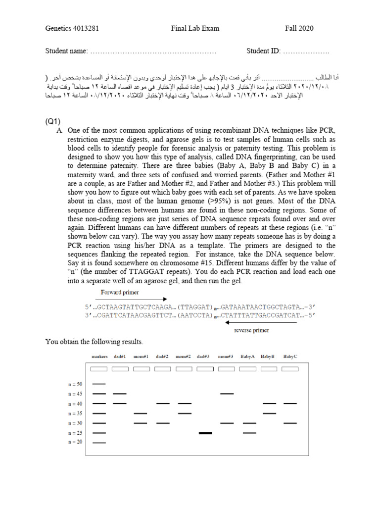 Final Exam-Genetics Lab-Fall 2020-Emad | PDF | Dna Sequencing ...