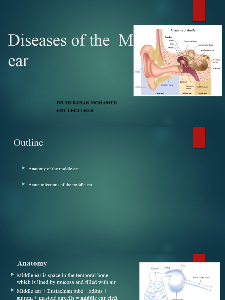 Diseases of The Middle Ear | Download Free PDF | Ear | Auditory System