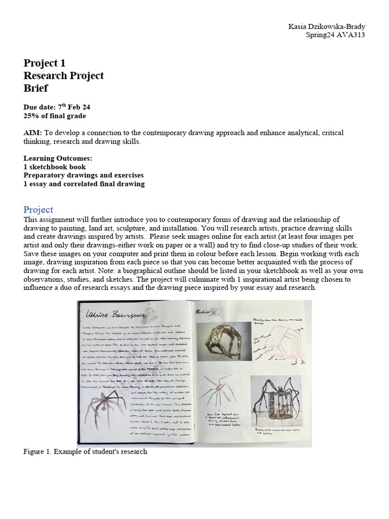 Project 1 Brief AVA313 Fall24 | PDF | Drawing | Vision
