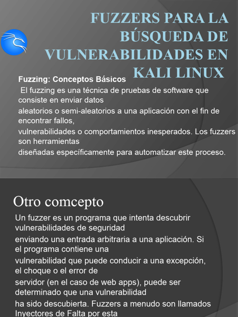 Fuzzers Diapositiva grd31 | PDF | Vulnerabilidad (informática ...