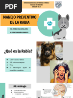 Guía para La Atención Médica y Antirrábica de La Persona Expuesta Al Virus de La Rabia | PDF ...