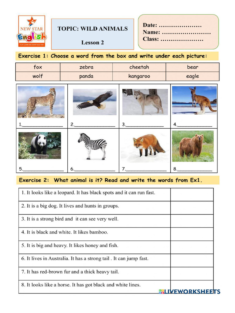 Wild Animals | PDF