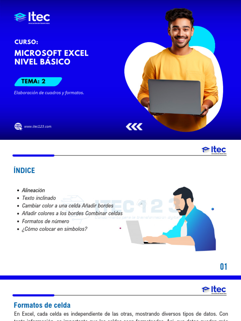 Tema 2 - Microsoft Excel - Nivel Básico | PDF | Microsoft Excel | Software