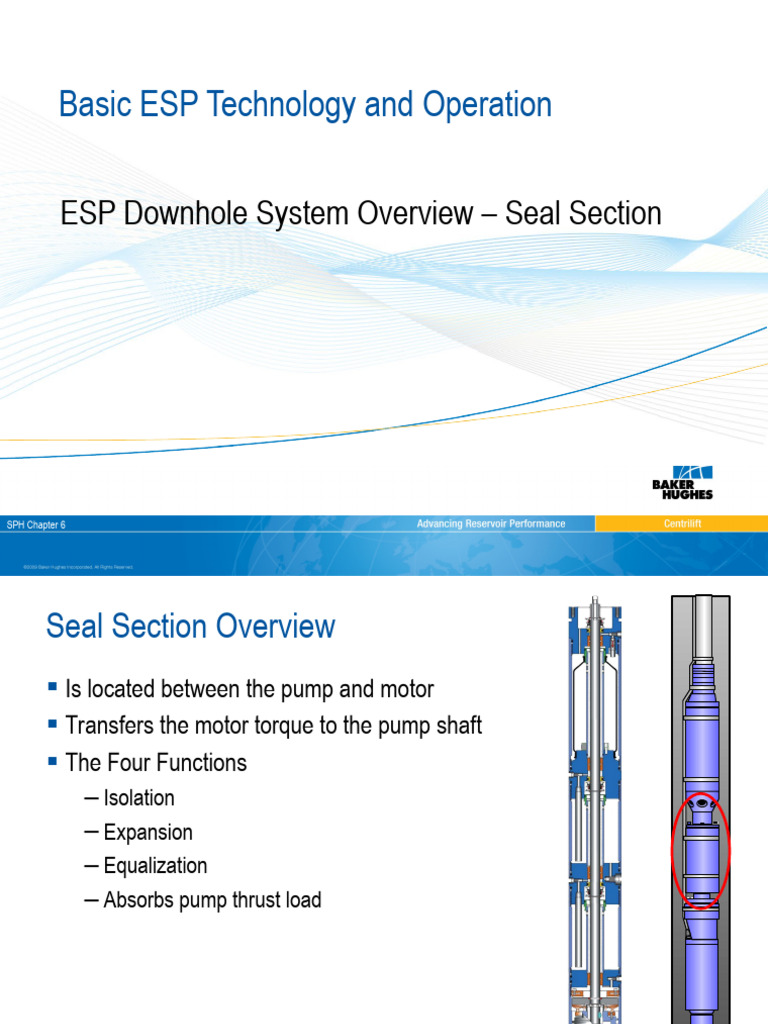 ESP Seal Section Overview and Functions | PDF | Technology & Engineering