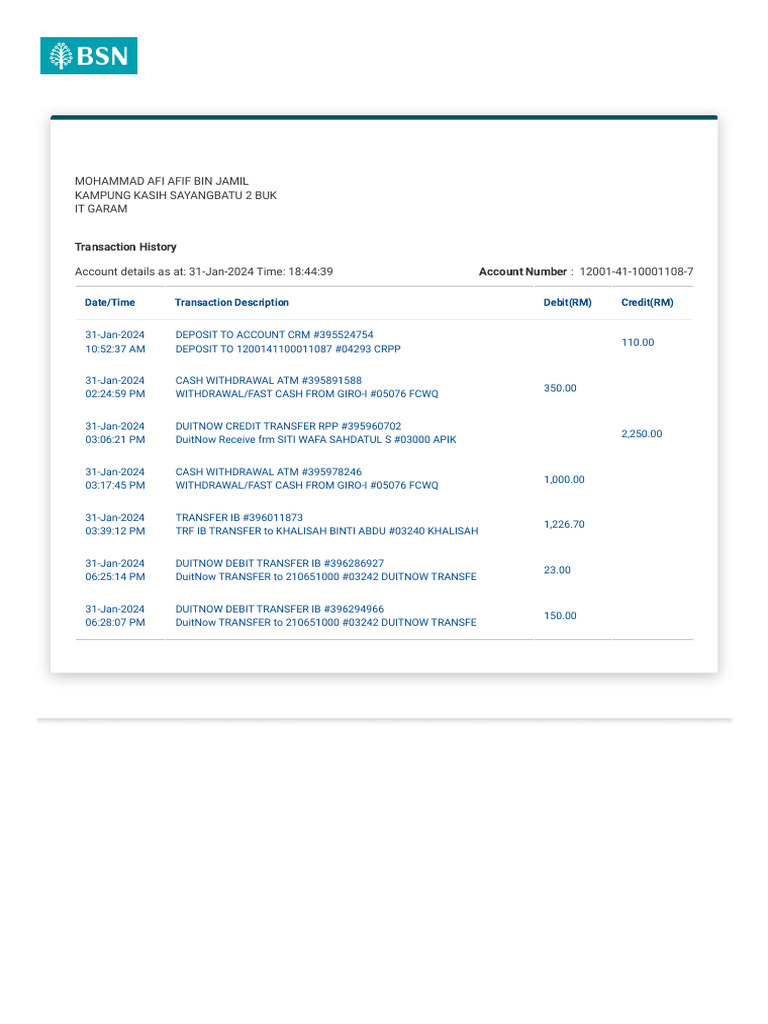 Transaction History for January 2024 | PDF