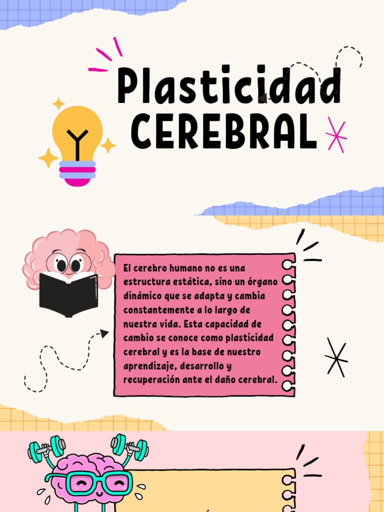 Plasticidad Cerebral | PDF