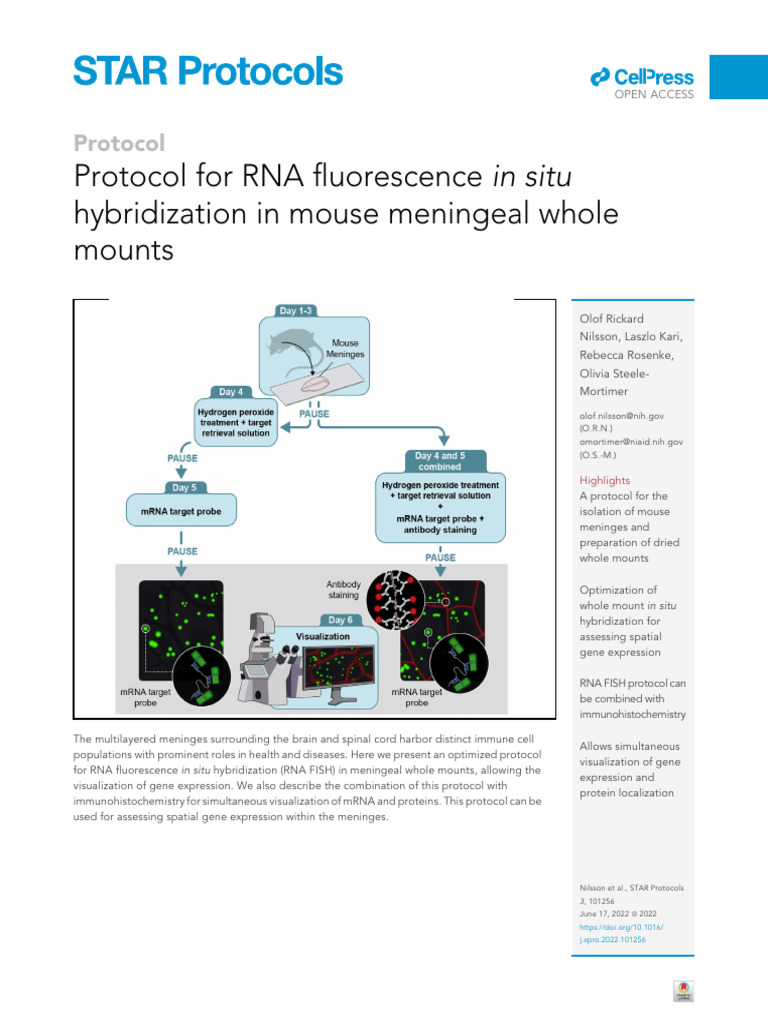 Rna Fish | PDF | In Situ Hybridization | Immunohistochemistry