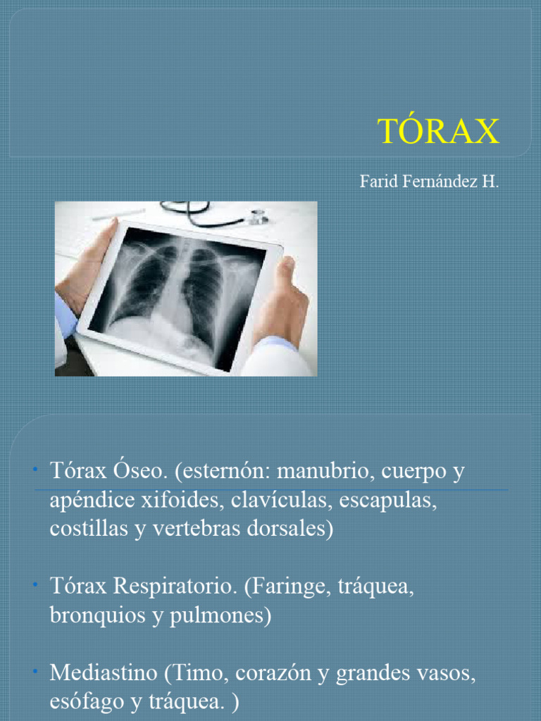 Escotadura Supraesternal en Tórax | PDF