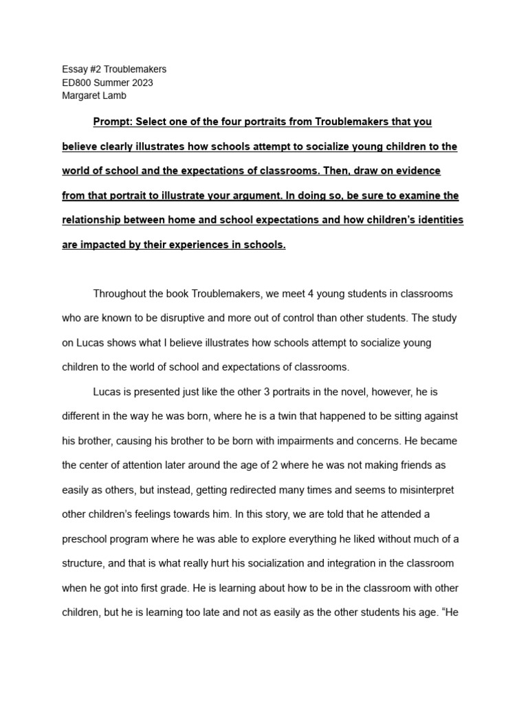 Essay 2 Troublemakers | PDF