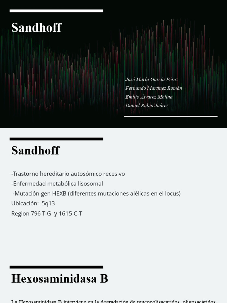 Enfermedad de Sandhoff: Características y Diagnóstico | PDF ...