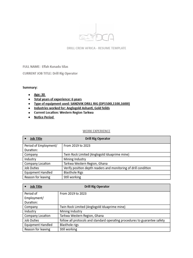 DCA - RESUME TEMPLATE Filled | Download Free PDF | Mining