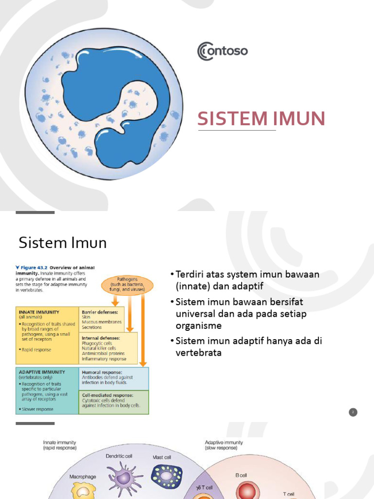 Sistem Imun Pada Hewan | PDF