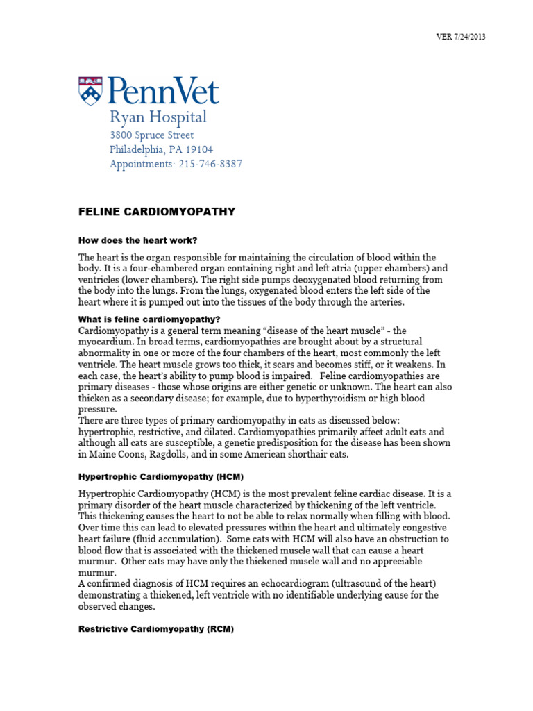 Understanding Feline Cardiomyopathy | PDF | Heart | Heart Failure