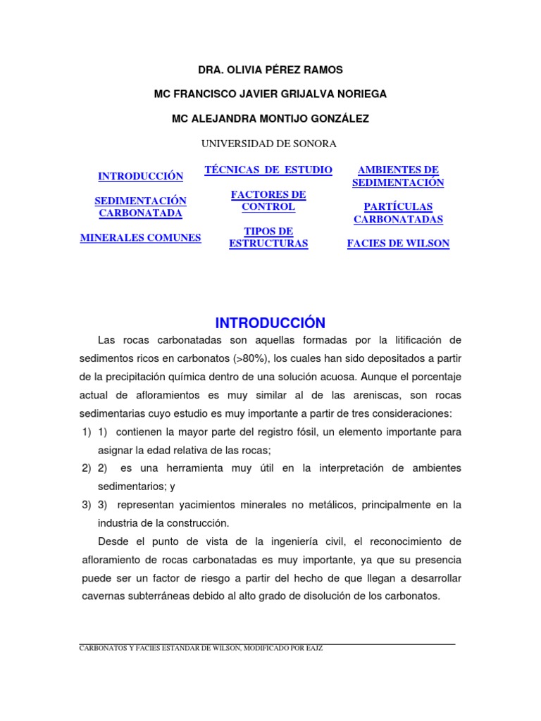 Rocas Carbonatadas y Facies de Wilson | PDF | Arrecife de coral | Calcita
