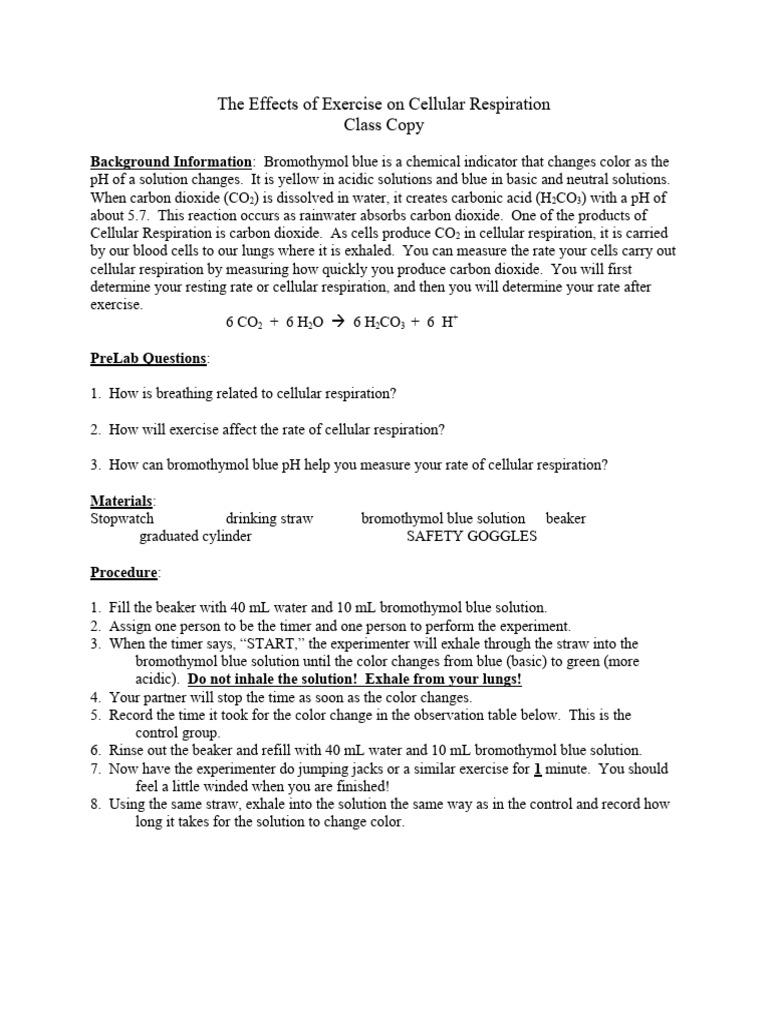 Chap. 9 Respiration and Exercise Lab 2018 | PDF | Breathing | Carbon ...