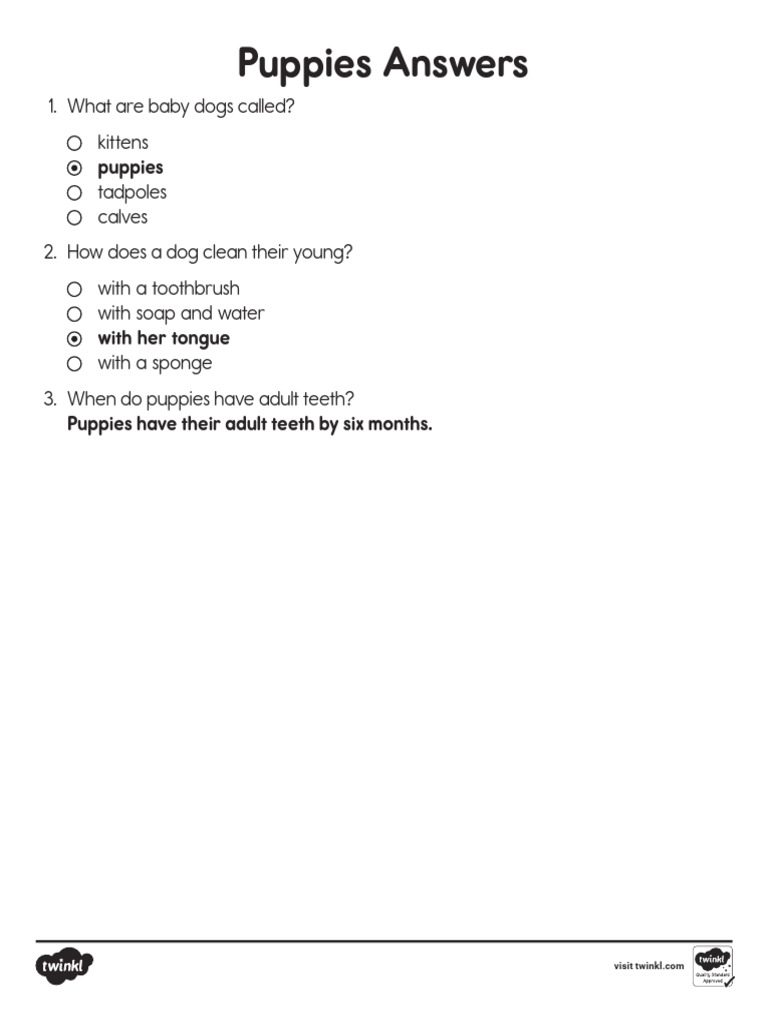 Answers First Grade Puppies Reading Passage Comprehension Activity | PDF