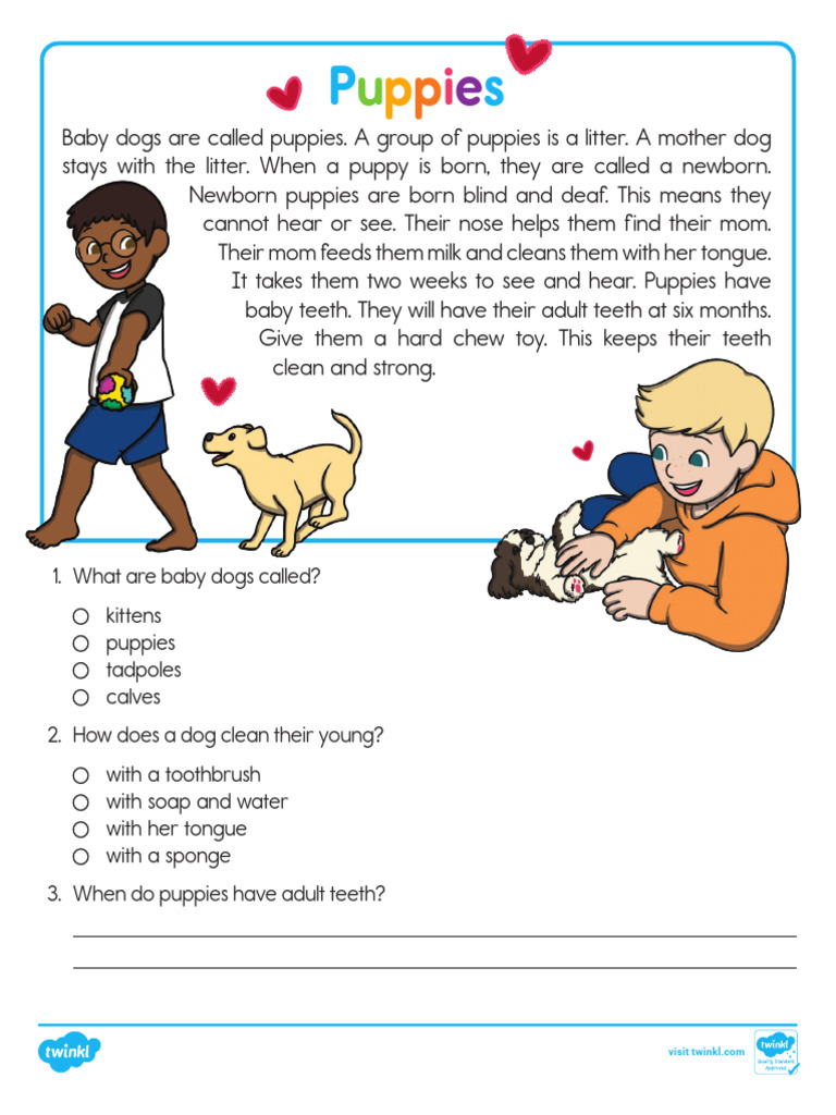 Color First Grade Puppies Reading Passage Comprehension Activity | PDF