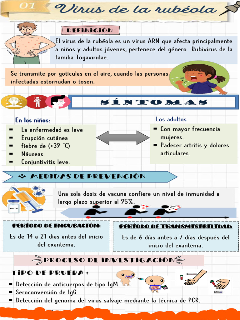Infografia Del Virus de La Rubeola | PDF