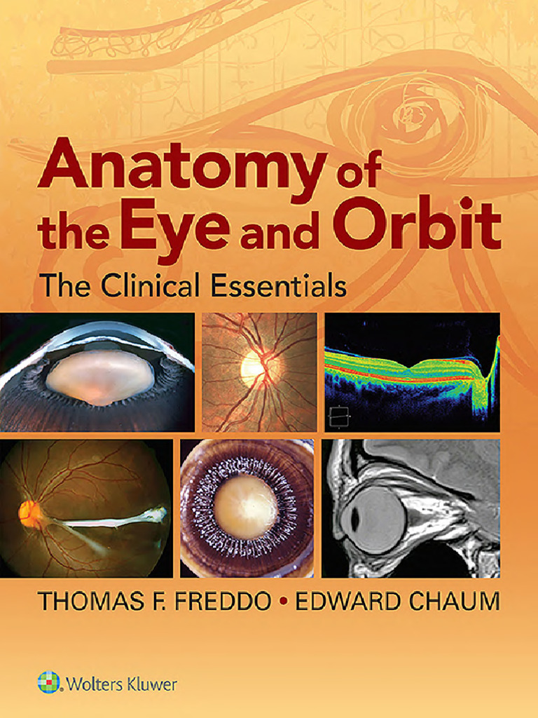 Anatomy of The Eye and Orbit The Clinical Essentials | PDF | Retina ...