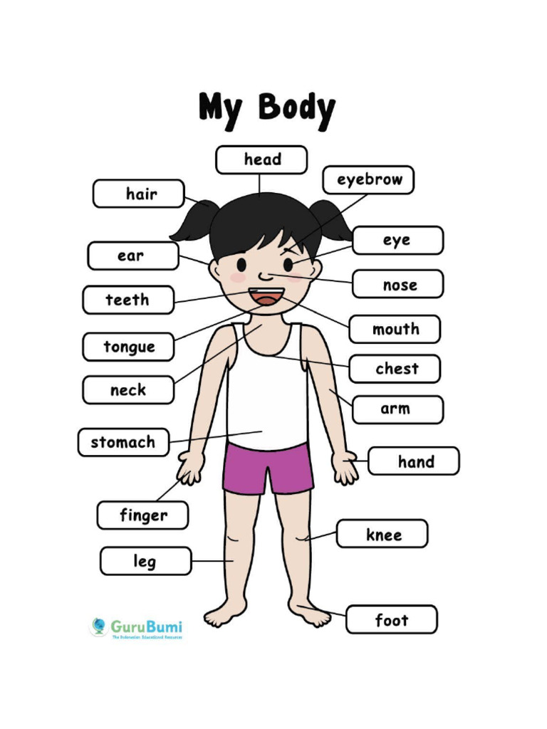 My Body | PDF