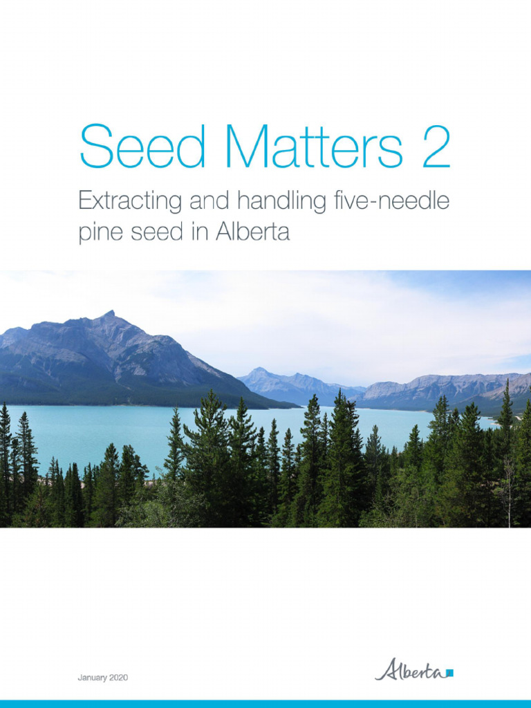 Alberta Pine Tree Seed Info | PDF | Seed | Pine