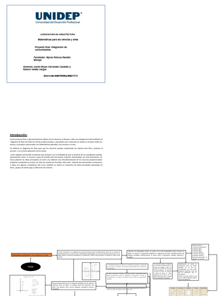 Proyecto Final Mate | PDF