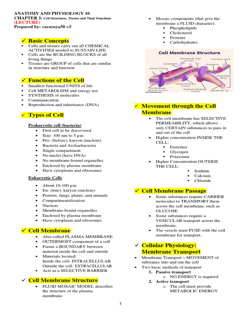 Anaphy Chap3 Lec Handout 1 | PDF | Cell Biology | Anatomy